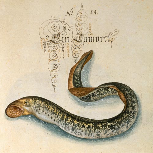 Eat Your Favorite RPG – Līber Lūdōrum